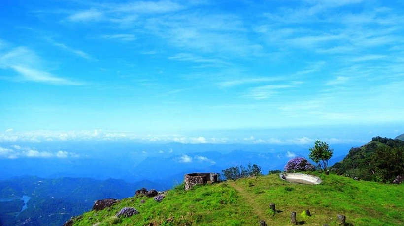 Places to Visit in Munnar in 1 Day
