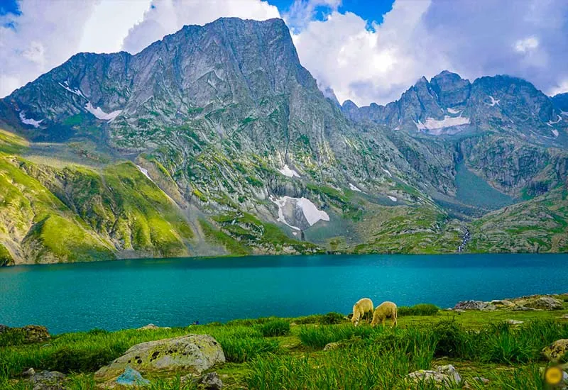 Top 10 Things to do at Sonamarg