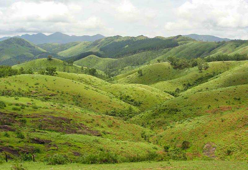 A Guide to Vagamon