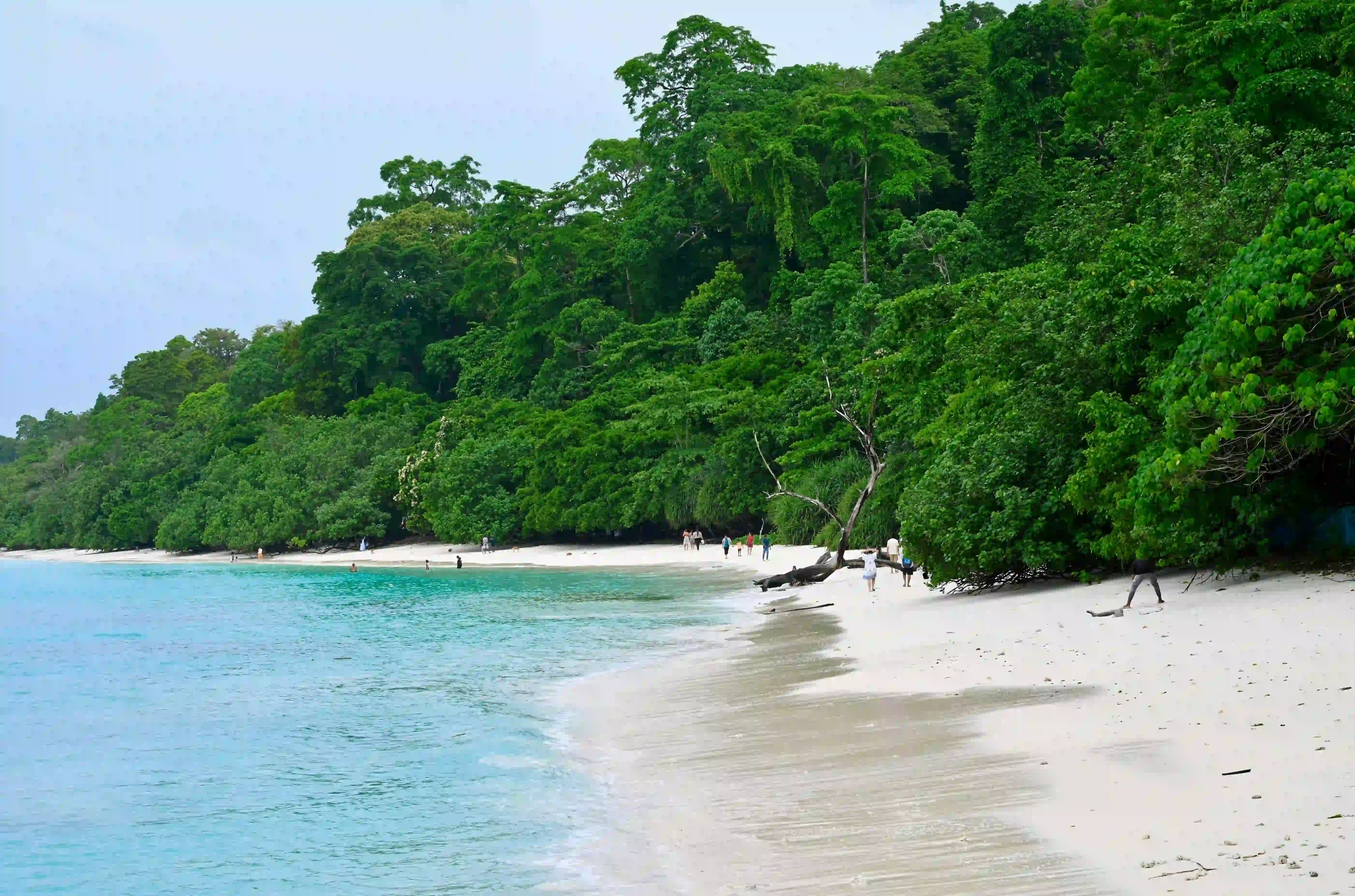 Mesmerizing Andaman Tour Package - Book Now @ Rs.16999 (33% off)